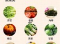 吃什么丰胸效果最好_丰胸食物有哪些