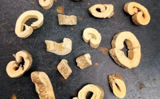 秦皮图片长什么样_秦皮和杜仲皮怎么区分