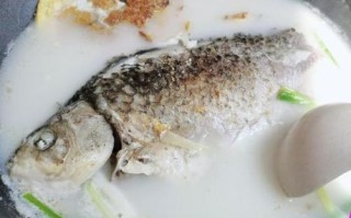 鱼汤怎么熬白_鱼汤变白技巧
