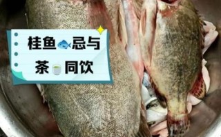 桂鱼内脏像菊花一样能吃吗_桂鱼内脏处理方法