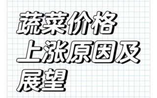 蔬菜价格为什么上涨_未来走势如何