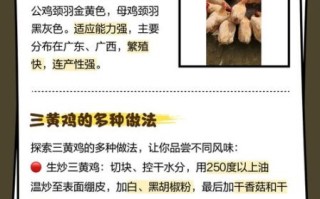 三黄鸡怎么做好吃_三黄鸡做法大全