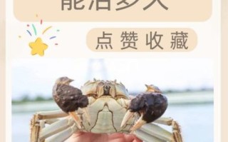 活蟹怎么保存_活蟹放冰箱能活几天