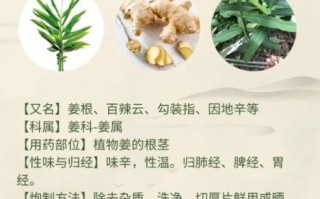 生姜治前列腺炎有效吗_如何用生姜缓解前列腺不适