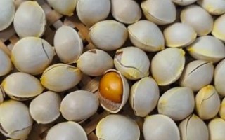 白果祛斑偏方怎么用_白果祛斑真的有效吗