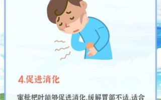 蜜枇杷叶的功效与作用_蜜枇杷叶怎么泡水喝