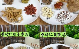 炖汤药材有哪些_炖汤药材怎么搭配不上火