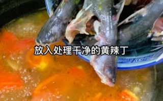 酸菜黄辣丁鱼汤怎么做_酸菜黄辣丁鱼汤的家常做法