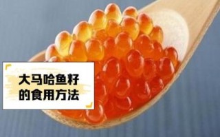 马哈鱼籽怎么吃_马哈鱼籽营养价值