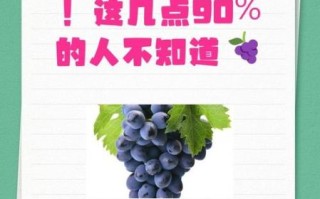吃葡萄皮有什么好处_葡萄皮的营养价值