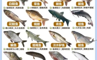 淡水鱼种类大全_常见观赏鱼有哪些