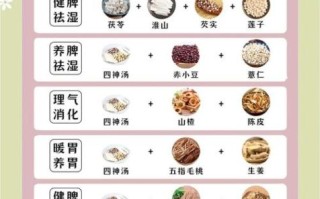 脾胃虚弱吃什么好_食疗食谱大全