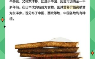 鲜牛蒡怎么吃_鲜牛蒡的禁忌有哪些