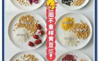 豆浆的做法大全家常_怎样做出香浓无渣豆浆