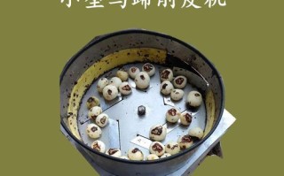 荸荠削皮机多少钱一台_家用荸荠削皮机好用吗