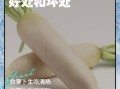 白萝卜的营养价值_白萝卜的功效与作用