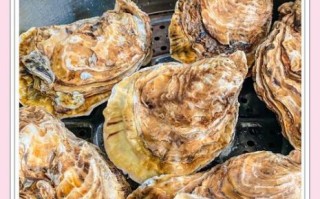 牡蛎肉怎么吃_牡蛎肉的家常做法