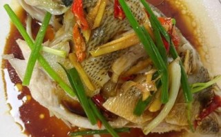 蒸鱼用什么鱼好_蒸鱼选什么鱼最嫩