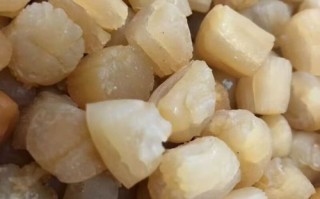 海产品干货批发市场在哪_怎么挑选优质干贝