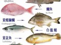 最便宜的几种海鱼有哪些_怎么挑选新鲜又省钱