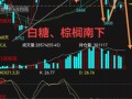 白糖期货走势分析_白糖期货价格还会涨吗