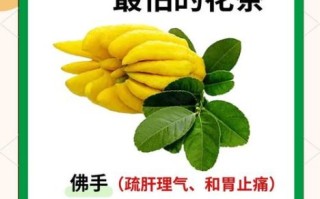 幽门螺杆菌最怕的两种茶是什么_如何喝才有效