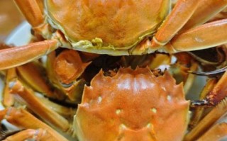 螃蟹什么季节最好吃_大闸蟹最佳品尝月份