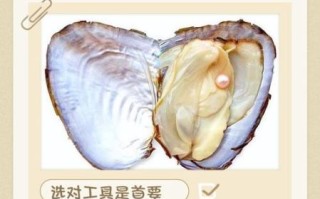 河蚌怎么处理干净_河蚌怎么吃最好吃