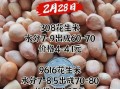 花生米价格今日多少钱一斤_花生米价格走势预测