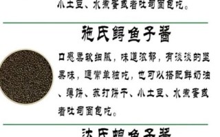 黑鱼子酱是什么鱼的卵_黑鱼子酱价格为什么那么贵