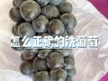 葡萄怎么洗才干净_葡萄怎么保存时间长