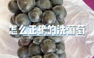 葡萄怎么洗才干净_葡萄怎么保存时间长
