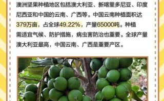 澳洲坚果怎么挑选_澳洲坚果营养价值