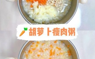 瘦肉粥怎么做才嫩_瘦肉粥怎么煮不柴