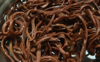 蕨菜干煲汤的做法_蕨菜干煲汤需要焯水吗