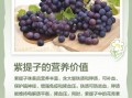 紫葡萄的营养价值_紫葡萄的功效与作用