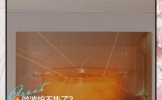 微波炉不加热怎么办_微波炉不加热的原因