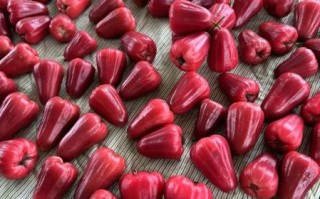 释迦和莲雾为什么是夫妻果_释迦莲雾夫妻果由来