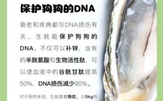 生蚝的营养价值_生蚝不能和什么一起吃