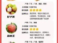 荔枝的功效与作用_荔枝含哪些营养素