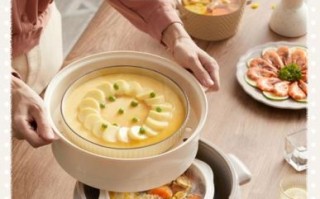 隔水电炖锅哪个牌子好_隔水电炖锅怎么选