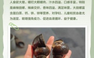 巨型田螺怎么养_巨型田螺吃什么