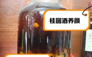 龙眼肉泡酒的做法_龙眼肉泡酒的功效与禁忌