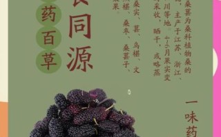 桑葚子的功效与作用_桑葚子怎么吃效果最好