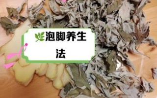 艾叶泡脚有什么功效_艾叶泡脚的正确方法