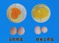 土鸡蛋图片高清_土鸡蛋真假怎么分辨