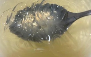 海石花怎么做_海石花需要煮多久