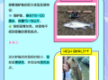 海鲈鱼和淡水鱼区别_如何挑选最新鲜的海鲈鱼