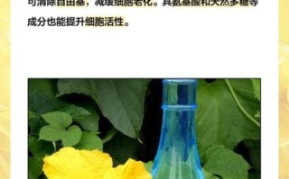 丝瓜花泡水喝的功效_丝瓜花泡水能天天喝吗