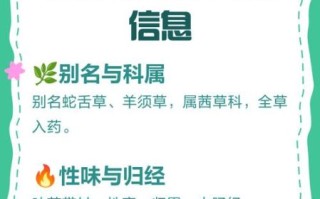 白花蛇舌草和半枝莲能一起喝吗_白花蛇舌草半枝莲功效与作用